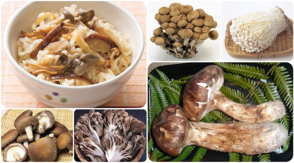 Kinoko Gohan | A Taste of Culture