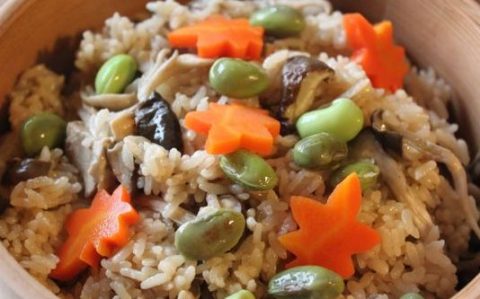 Kinoko Gohan | A Taste of Culture