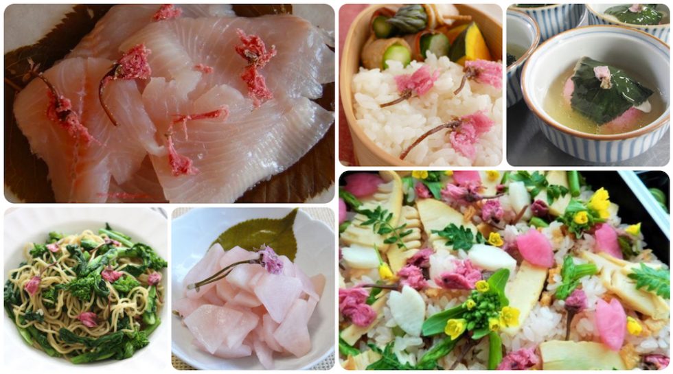 EDIBLE SAKURA Blossoms & Leaves | A Taste of Culture