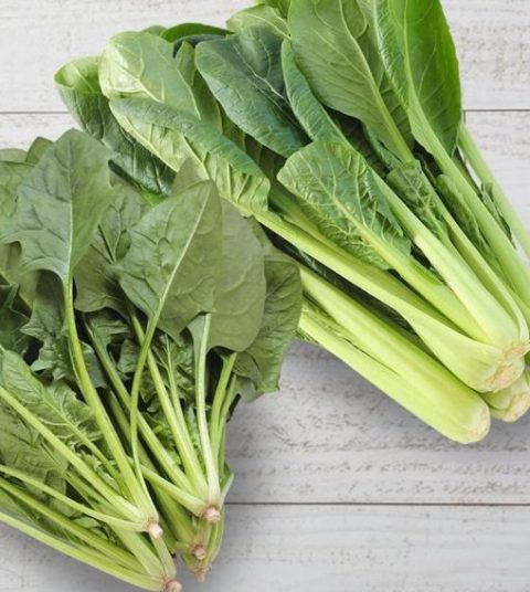 Komatsuna | A Taste of Culture