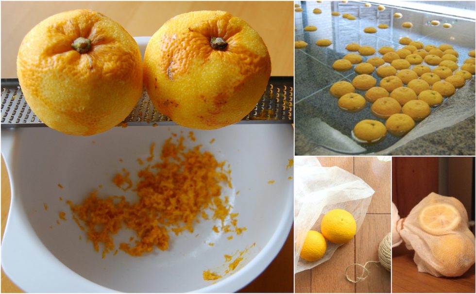 Yuzu Yu | A Taste of Culture