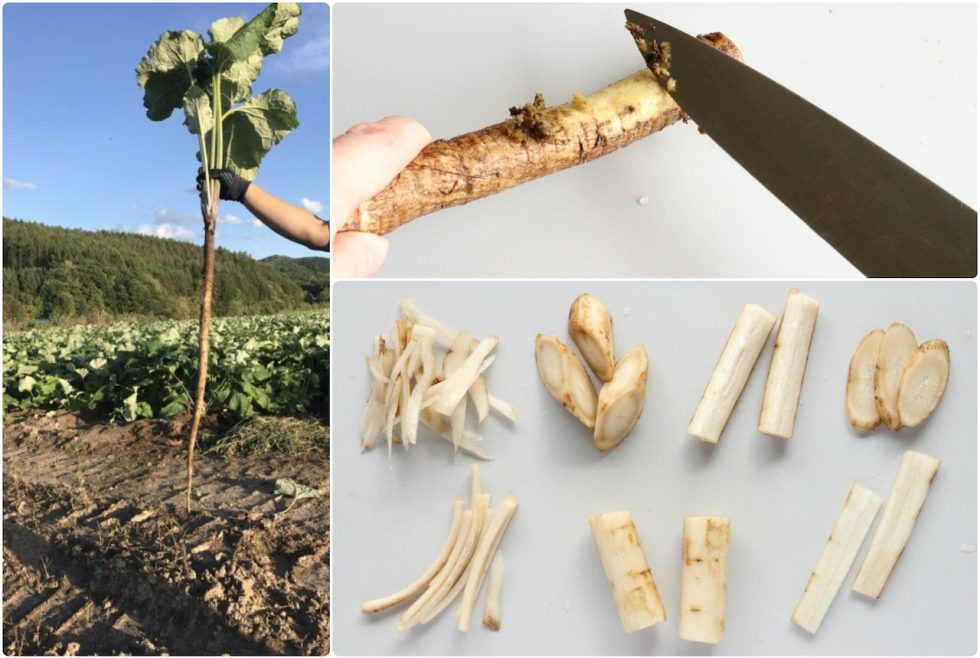 PROJECT Cutting and Slicing | A Taste of Culture