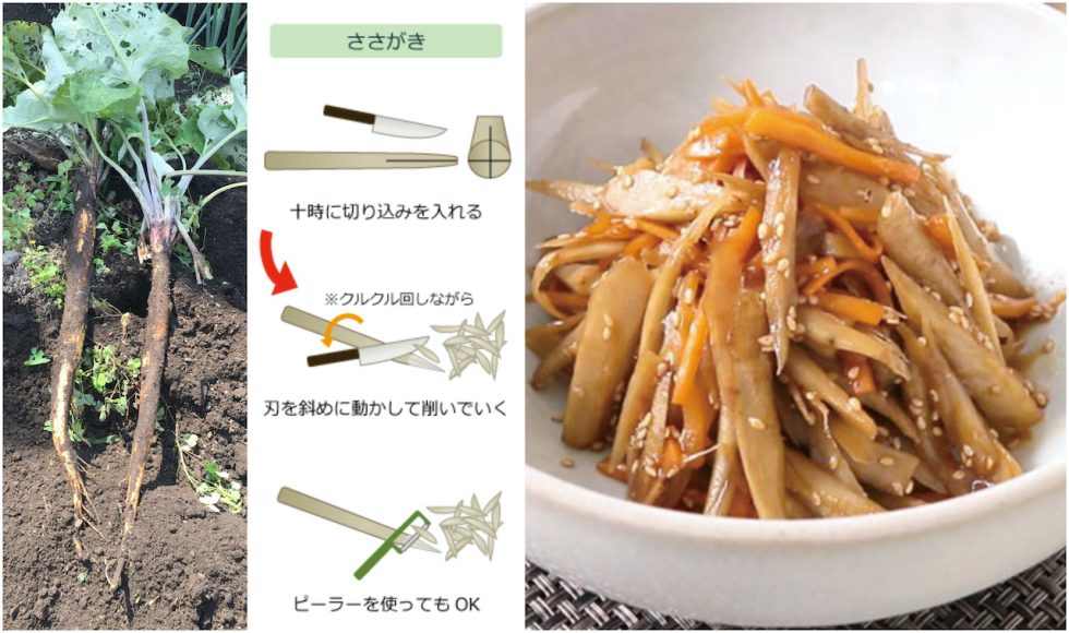 PROJECT Cutting and Slicing | A Taste of Culture