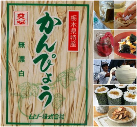 PROJECT Kampyo | A Taste of Culture