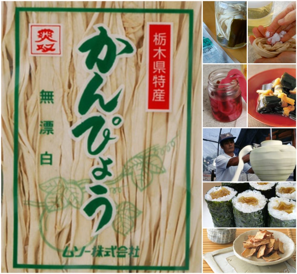 PROJECT Kampyo | A Taste of Culture