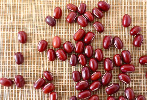 ADZUKI red beans | A Taste of Culture
