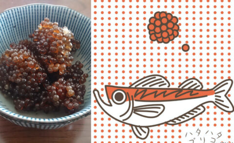 TONBURI: Caviar of the Fields | A Taste of Culture