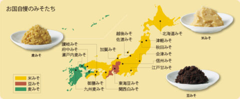 Miso Soup | A Taste of Culture