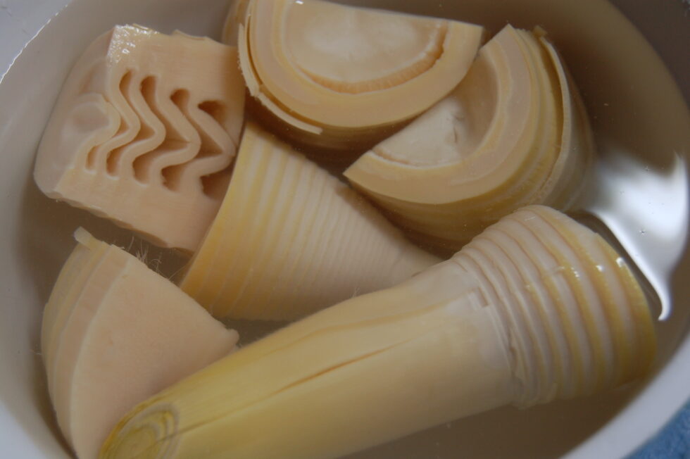 Fresh Bamboo Shoots | A Taste of Culture