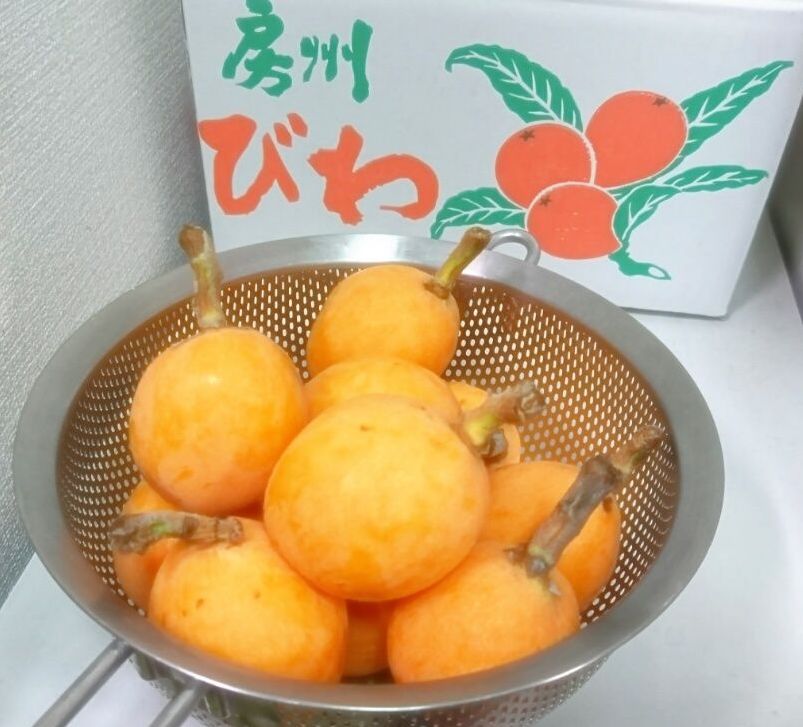 BIWA (loquats) | A Taste of Culture